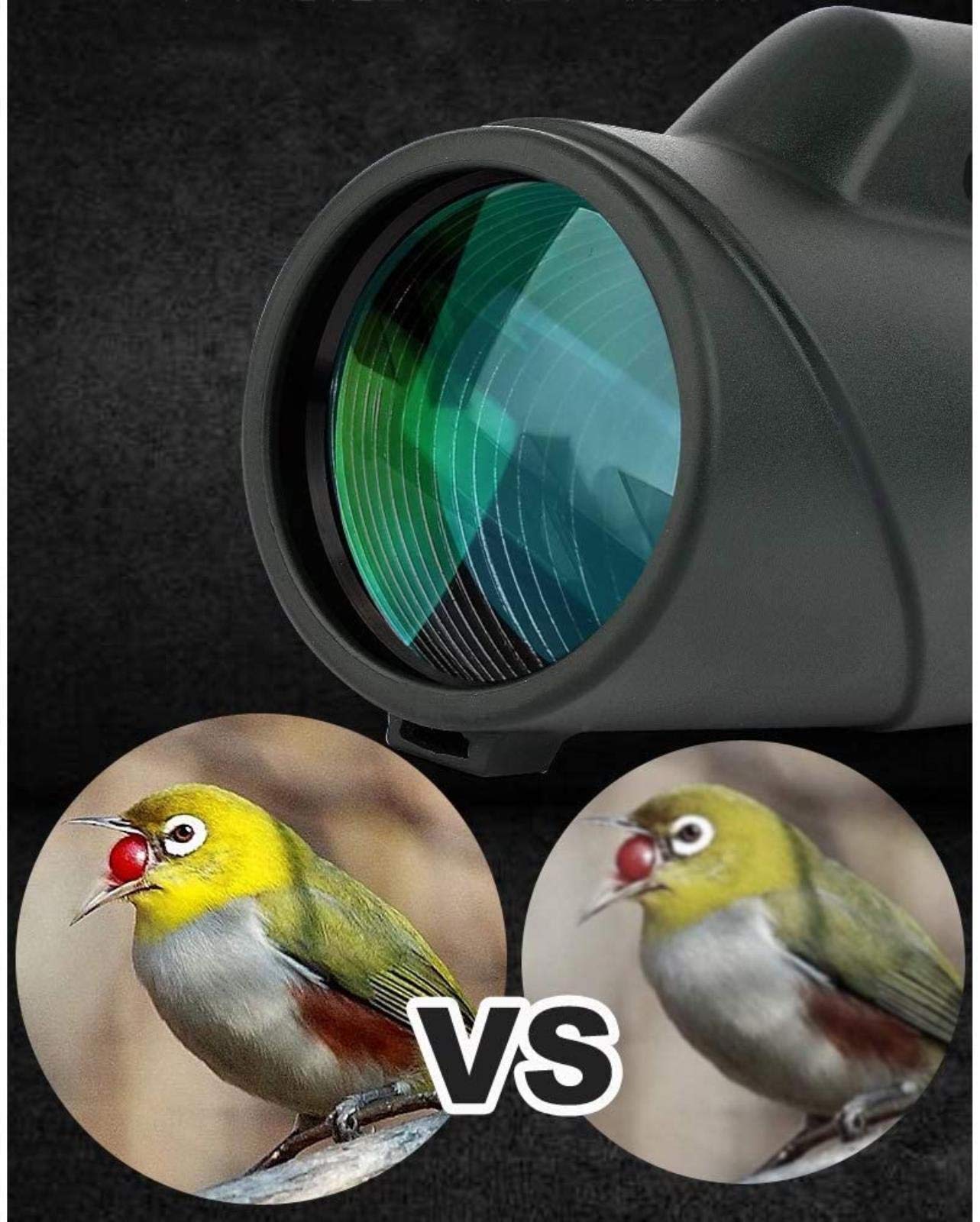 ROLTIN 10-20x50 High Power Zoom Monocular Compact IPX7 Waterproof BAK4 Prism FMC Lens Monocular for Adult Bird Watching, Outdoor Hunting, Travel, Sightseeing Adults