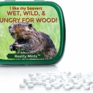 Funny Statement Mints - Breath Fresheners for Adults - Mens Gag Gifts, Stocking Stuffers, Candy Basket Fillers - Sugar-Free - Pocket-Size Metal Tins (Beaver)