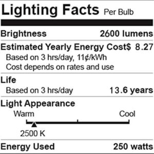 BONGBADA 2 Pack 250W Heat Lamp Red Infrared Bulbs Glass Lamp Bulb for Food Service, Brooder Bulb, Chicks, Pet, Bathroom, Light Therapy Use E26 Base, Flood Light Heat Lamp Bulb.