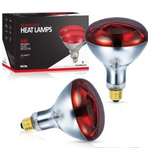 bulbmaster 250 watts r40 red heat lamps outdoor bulbs for pets flood light bulb for chickens infrared reflector 250w r40 incandescent medium e26 base 2 pack