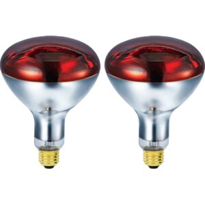 BULBMASTER 250 Watts R40 Red Heat Lamps Outdoor Bulbs for Pets Flood Light Bulb for Chickens Infrared Reflector 250W R40 Incandescent Medium E26 Base 2 Pack