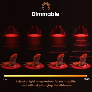 Briignite Reptile Heat Lamp Red, Reptile Night Lamp 50W, G9 Heat Bulb & Dome Reptile Light Fixture, Aluminum Reflector, Dimmable Heat Lamp for Chicken Turtle Snake Gecko Lizard, 1 Pack