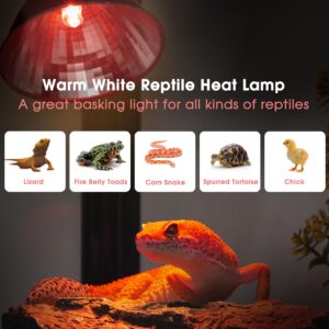 Briignite Reptile Heat Lamp Red, Reptile Night Lamp 50W, G9 Heat Bulb & Dome Reptile Light Fixture, Aluminum Reflector, Dimmable Heat Lamp for Chicken Turtle Snake Gecko Lizard, 1 Pack