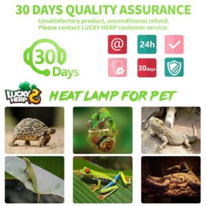 LUCKY HERP Heat Lamp Bulbs - 150W Reptile Heat Lamp 1 Pack, Daylight Basking Heat Lamp Bulbs for Reptile, UVA Heat Light Bulb for Reptiles, Amphibians, Bearded Dragons, Lizards, Turtles, Chickens