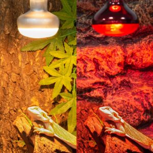 REPTIZOO Reptile Dual Lamp Fixture Heat Lamp Bulb Combo Pack includes 100W UVA Daylight Heating Lamp and 100W Infrared Heat Emitter Infrared Basking Spot