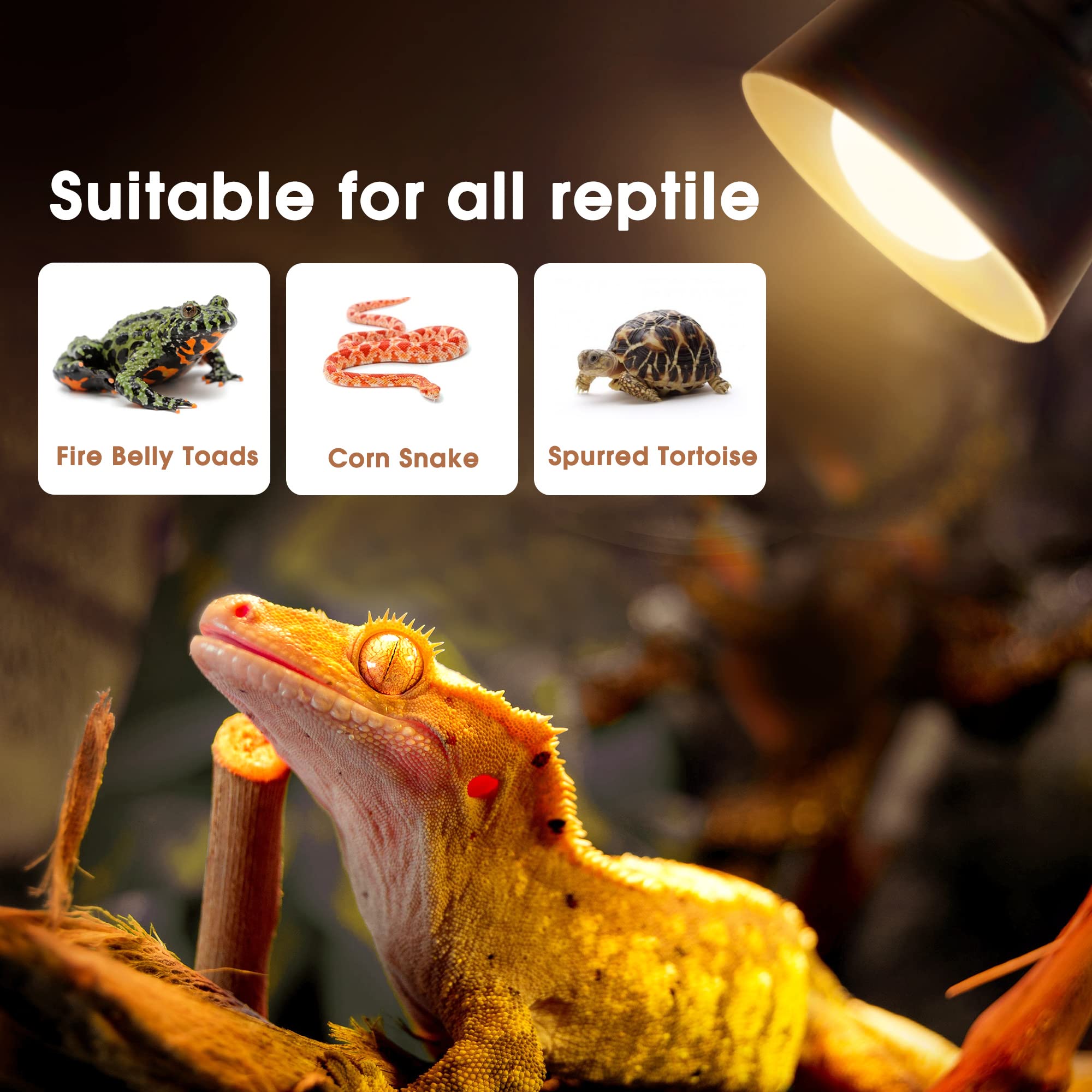 Briignite Heat Lamp Bulbs, UVA Reptile Light, 100W Reptile Heat Lamp Bulbs, E26 Base Basking Spot Bulb for Reptile, Full Spectrum Heat Light Bulb for Turtle Lizard Tank, Bearded Dragon, 2 Pack