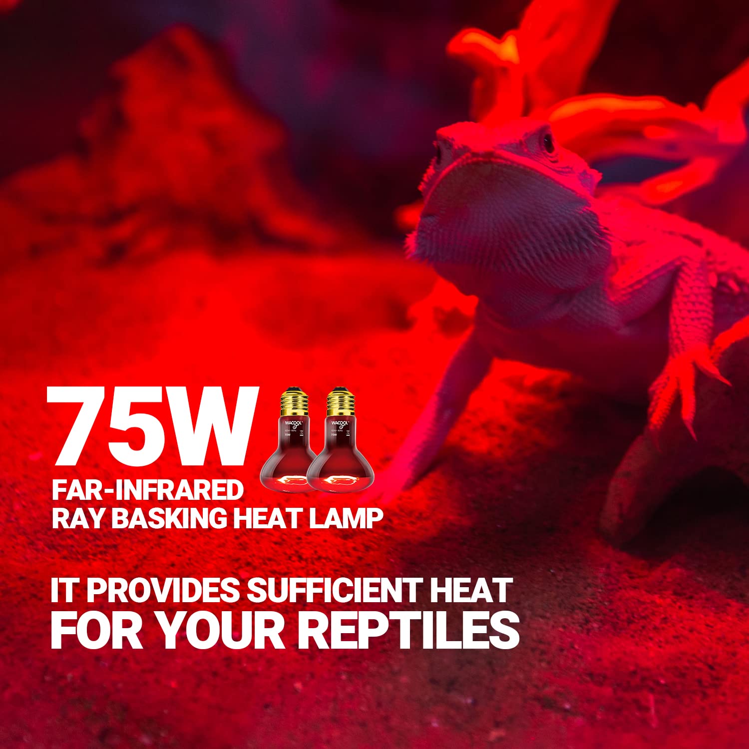 WACOOL 2 Pack Reptile Heat Lamp Bulbs,75W Infrared Basking Spot Light for Reptiles & Amphibians, Red Heat Lamp Bulb for Bearded Dragon Gecko Turtle Lizard