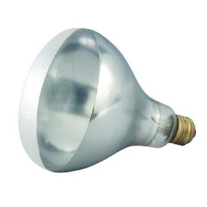 winco - bulb for heat lamp, replacement bulb for ehl-2, ehl-bw, clear, 250w