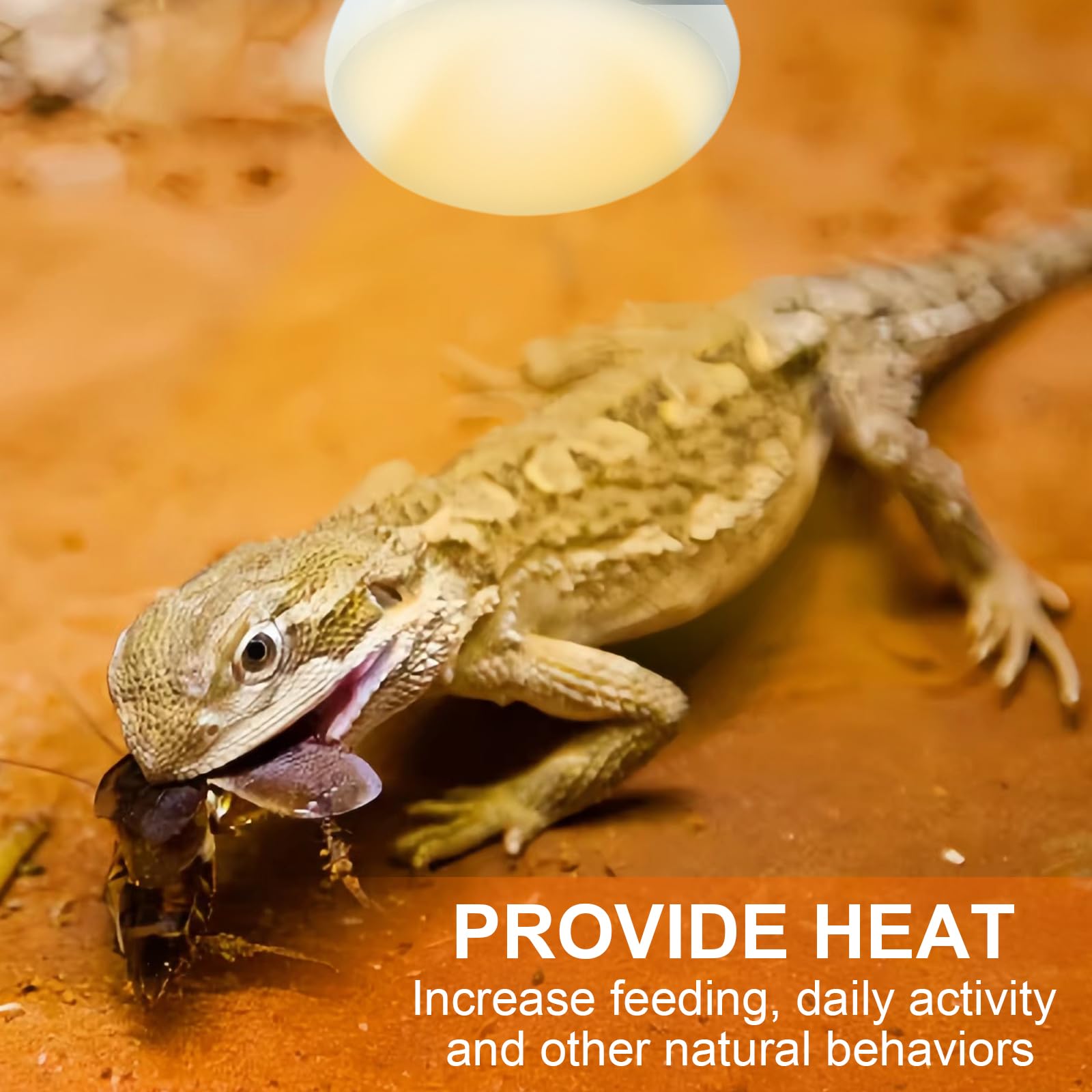 REPTI HOME Reptile Heat Lamp Bulbs, Simulate Natural Sunlight Heat Light Bulb, 2 Pack 100W Amphibian Terrarium Basking Spot Lamp for Reptile, Bearded Dragon, Lizard, Turtle, Snake