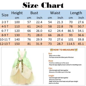 TYHTYM Princess Costumes Little Girls Dress Up Fancy Halloween Christmas Party (Tiana, 4-5T)