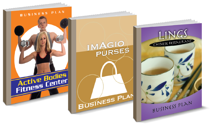 Business PlanMaker Professional 12 [Download]