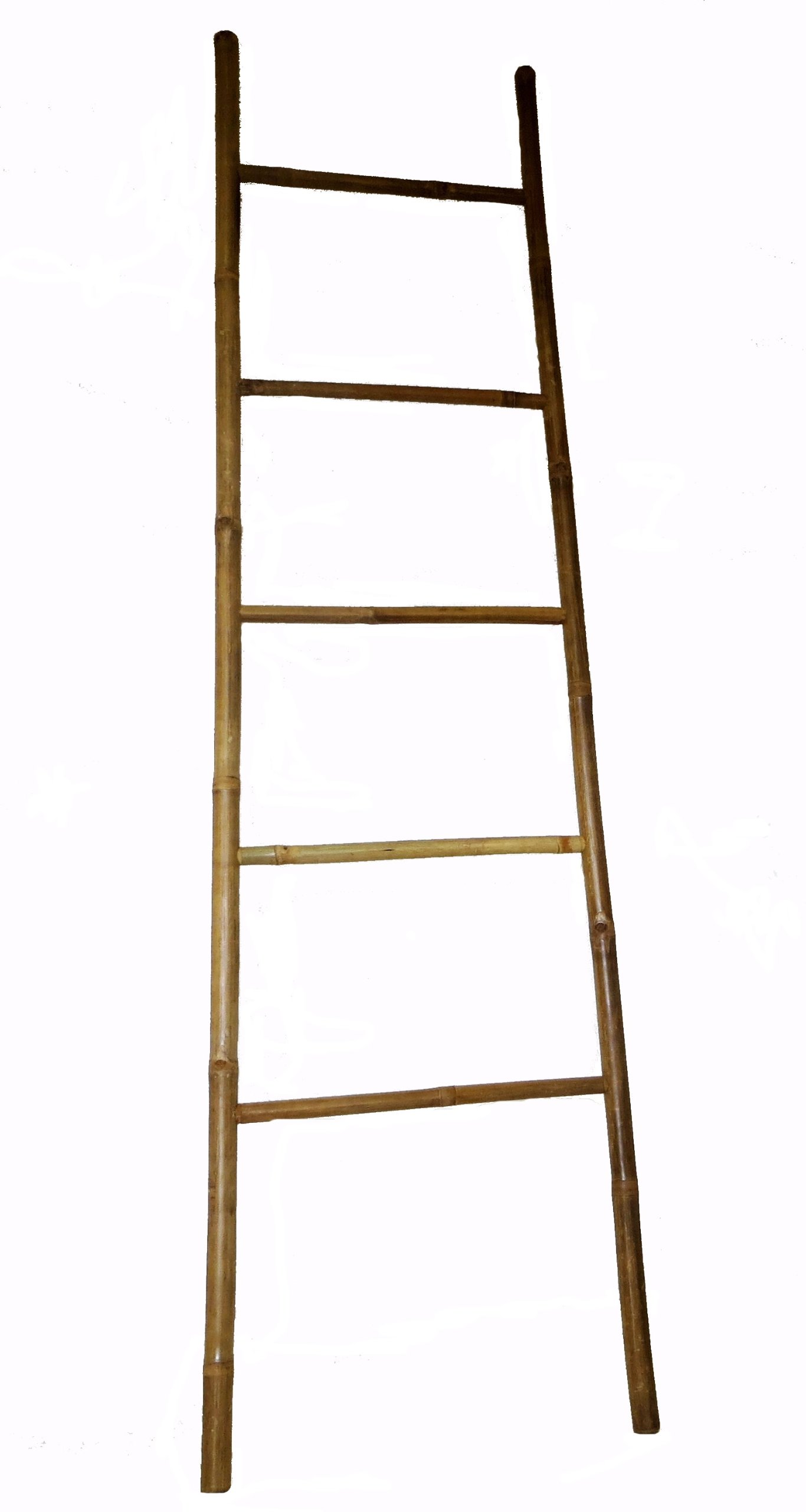 Bamboo Ladder, 84H"