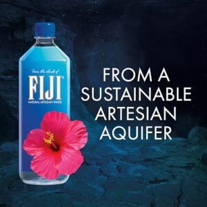 FIJI Natural Artesian Bottled Water 1 Liter / 33.8 Fl Ounce (Pack of 12)