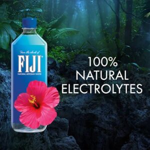 FIJI Natural Artesian Bottled Water 1 Liter / 33.8 Fl Ounce (Pack of 12)