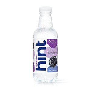 Hint Water Blackberry, Pure Water Infused with Blackberry, Zero Sugar, Zero Calories, Zero Sweeteners, Zero Preservatives, Zero Artificial Flavors, 16 Fl Oz (Pack of 12)