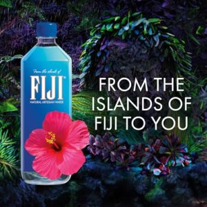 FIJI Natural Artesian Bottled Water 1 Liter / 33.8 Fl Ounce (Pack of 6)