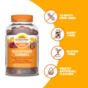 Sundown Adult Multivitamin Gummies with Vitamin C, D3 and Zinc for Immune Health, 120 Count