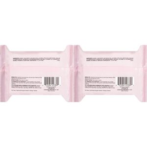 Garnier Micellar Facial Cleanser & Makeup Remover Wipes, Gentle for All Skin Types (25 Wipes), 2 Count (Packaging May Vary)