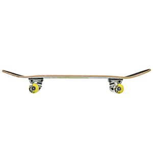 RD Deluxe Series Skateboard (Mr. Bear)