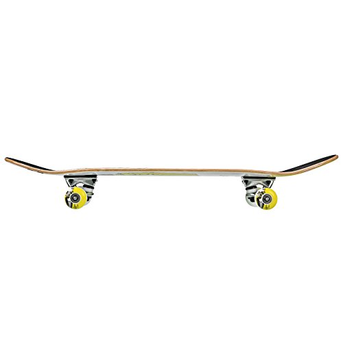 RD Deluxe Series Skateboard (Mr. Bear)