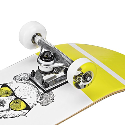 RD Deluxe Series Skateboard (Mr. Bear)