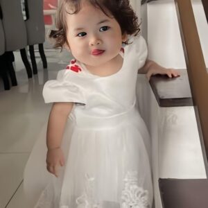 3M-3T Toddler Baby Girls Dress Pageant Wedding Flower Girls Dress Formal Gowns Embroidered Lace Dress + Headwear