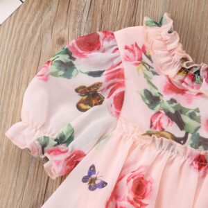 Toddler Baby Girls Flower Print Ruffles Princess Dress Sundress Clothes Outfit (6-12 Months, Pink)