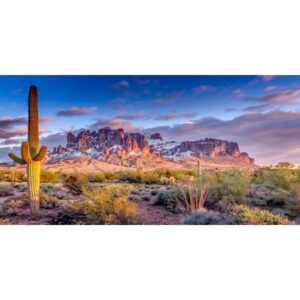 leyiyi 30x12 inches arazona mountain cactus photography background desert sunset summit western american travel hiking desert flora cloud desolate cowboy polyester backdrop terrarium background