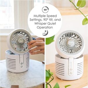 Crane 2-in-1 Air Purifier and Desk Top Fan, White, Standard, (EE-5073)