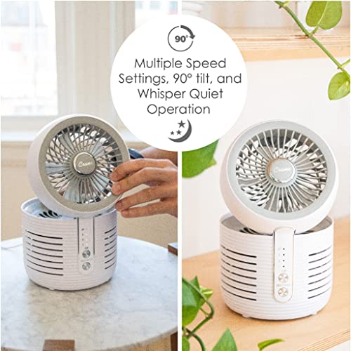 Crane 2-in-1 Air Purifier and Desk Top Fan, White, Standard, (EE-5073)