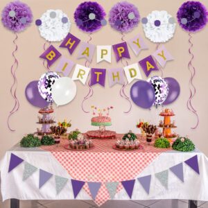 Purple White Birthday Decorations Party Supplies for Women Girls with Happy Birthday Banner,Tissue Paper Pom Poms, Triangular Pennants, Latex Confetti Balloons- Purple, Lavender and White