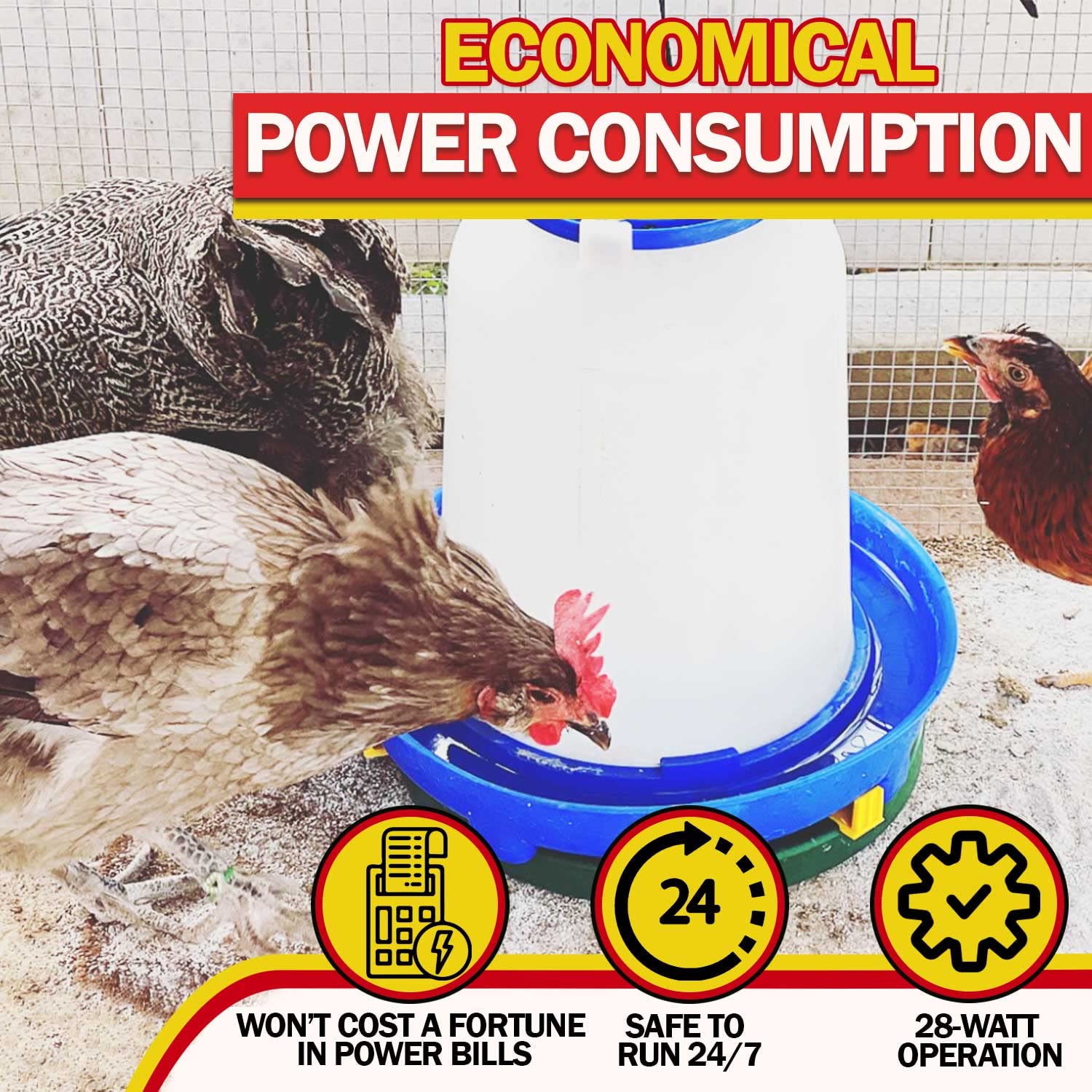 My Favorite Chicken Chicken Water Heater and Deicer - Electric Poultry Waterer for Winter - Portable Design, Freeze Proof Chicken Supplies for Outdoor Use - Water Heater and Warmer for Outside