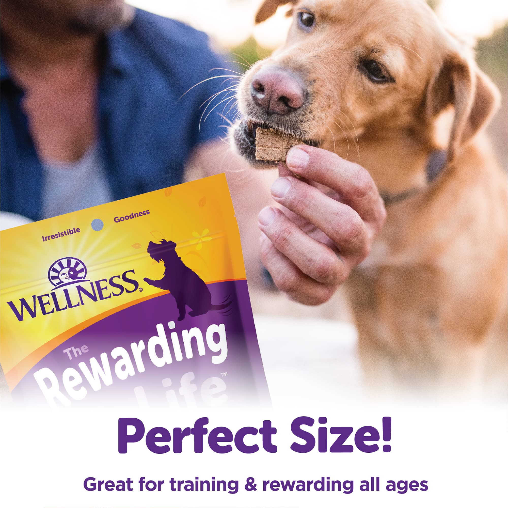 Wellness Rewarding Life Grain-Free Soft Dog Treats, Made in USA with Healthy Ingredients, Ideal for Training (Chicken & Lamb Recipe, 6-Ounce Bag)