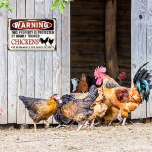 Bestylez Funny Chicken Coop Warning Sign Outdoor Chicken House Decor Gifts For Chicken Lovers 12" * 8" (219)