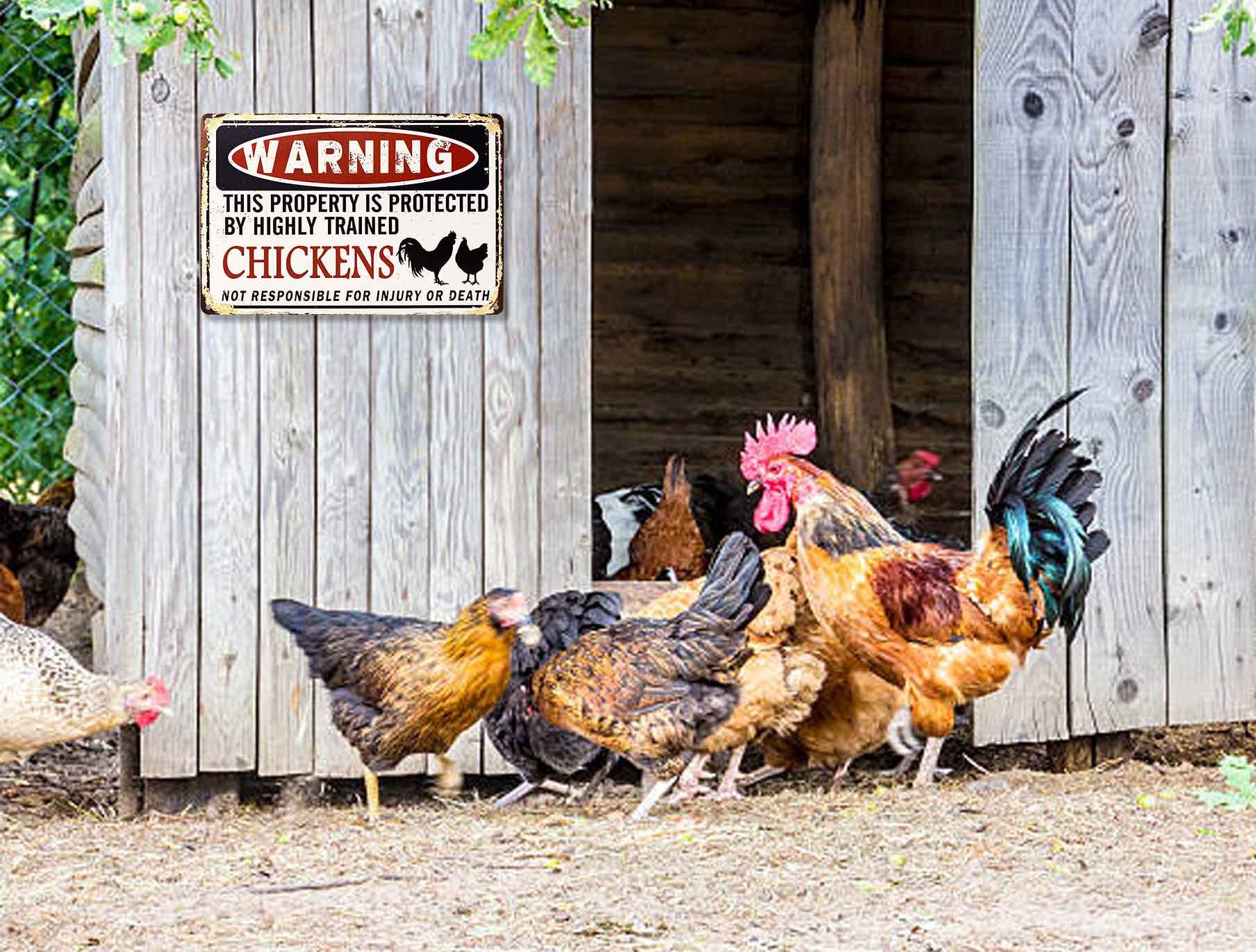 Bestylez Funny Chicken Coop Warning Sign Outdoor Chicken House Decor Gifts For Chicken Lovers 12" * 8" (219)