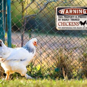 Bestylez Funny Chicken Coop Warning Sign Outdoor Chicken House Decor Gifts For Chicken Lovers 12" * 8" (219)