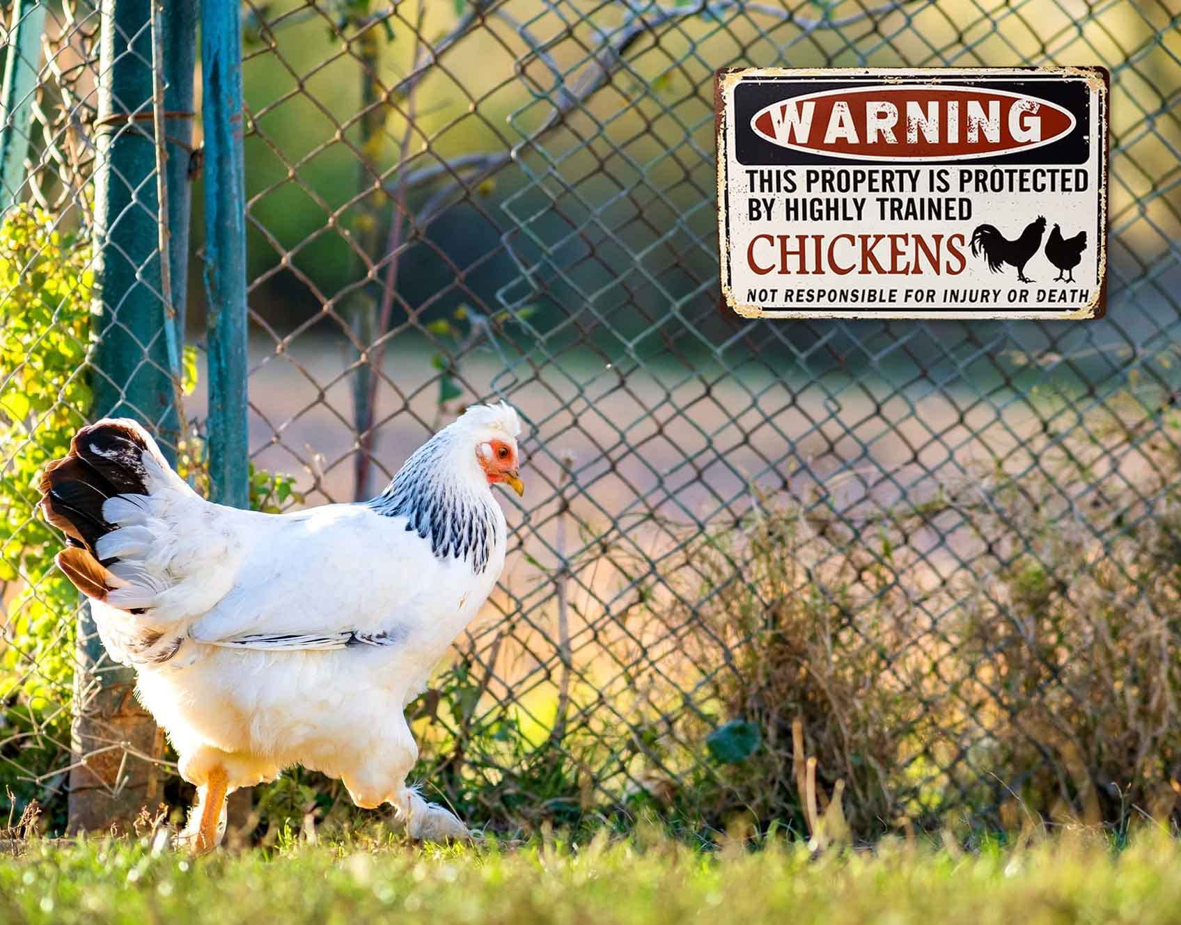 Bestylez Funny Chicken Coop Warning Sign Outdoor Chicken House Decor Gifts For Chicken Lovers 12" * 8" (219)