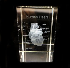 3d human heart anatomical model paperweight(laser etched) in crystal glass cube science gift (no included led base)(3.1x2x2 inch)