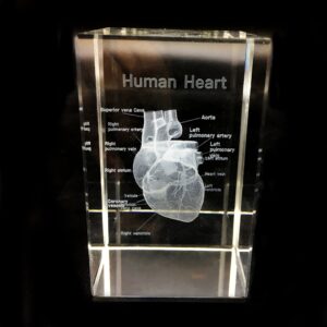 3D Human Heart Anatomical Model Paperweight(Laser Etched) in Crystal Glass Cube Science Gift (No Included LED Base)(3.1x2x2 inch)