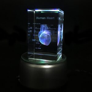 3D Human Heart Anatomical Model Paperweight(Laser Etched) in Crystal Glass Cube Science Gift (No Included LED Base)(3.1x2x2 inch)