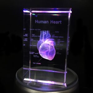 3D Human Heart Anatomical Model Paperweight(Laser Etched) in Crystal Glass Cube Science Gift (No Included LED Base)(3.1x2x2 inch)