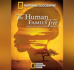 Human Family Tree