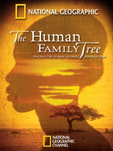 human family tree