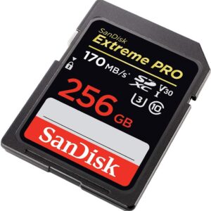 SanDisk 256GB SDXC SD Extreme Pro Memory Card Bundle Works with Canon EOS Rebel T5, T5i, T6, T6i, T7, T7i Digital DSLR Camera 4K V30 (SDSDXXY-256G-GN4IN) Plus 1 Everything But Stromboli TM 3.0 Reader