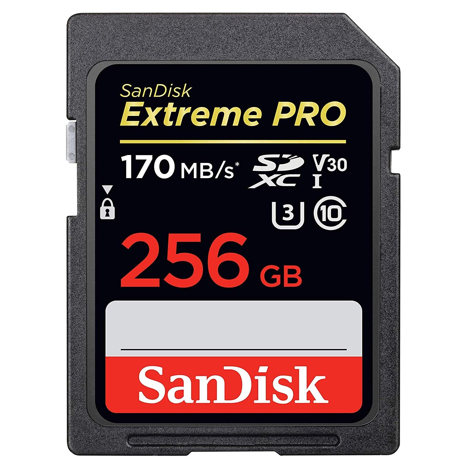 SanDisk 256GB SDXC SD Extreme Pro Memory Card Bundle Works with Canon EOS Rebel T5, T5i, T6, T6i, T7, T7i Digital DSLR Camera 4K V30 (SDSDXXY-256G-GN4IN) Plus 1 Everything But Stromboli TM 3.0 Reader