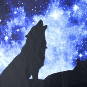 HVEST Wolf Tapestry Wall Hanging Full Moon in Blue Space Tapestries Wild Animal Wolves Wall Decor Blanket for Kids Bedroom Living Room Dorm Party, 60Wx40H Inches