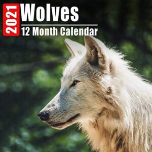 calendar 2021 wolves: cute wolf photos monthly mini calendar with inspirational quotes each month