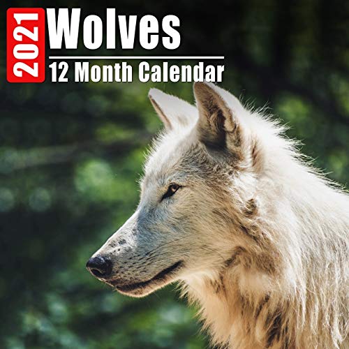 Calendar 2021 Wolves: Cute Wolf Photos Monthly Mini Calendar With Inspirational Quotes each Month