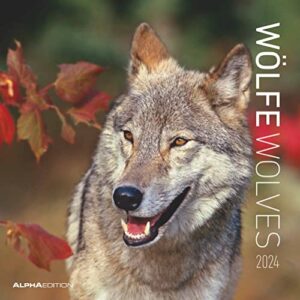 wolves 2024 brochure calendar 30 x 30 cm (30 x 60 open) calendar with space for notes wolves picture calendar wall planner alpha edition