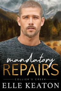 mandatory repairs: small town mm romance